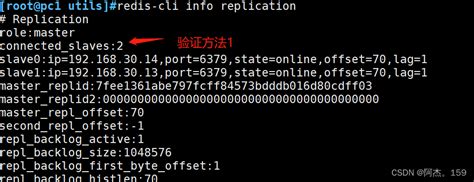 数据库redis数据库高可用 Csdn博客