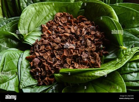 Betel Leaves Store