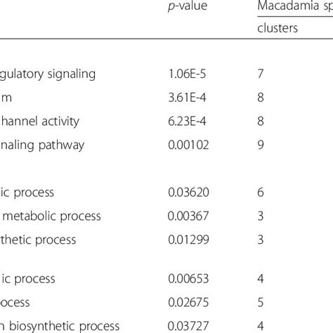 Hypergeometric Test For Significantly Enriched Biological Process Gene
