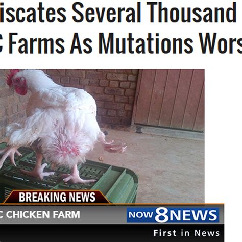 Mutated Chicken