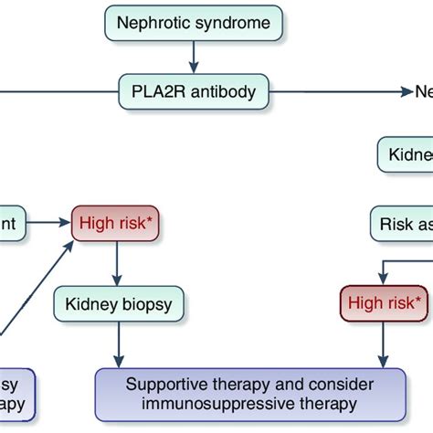 Therapy Algorithm For Immunoglobulin A Nephropathy Details Of The
