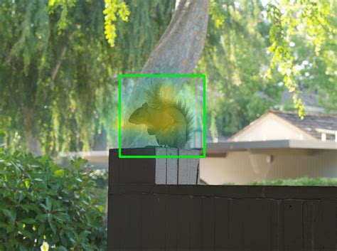 Alternatives And Detailed Information Of Keras Mobile Detectnet Gitplanet