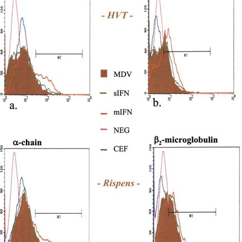 The Effect Induced On The Expression Of MHC Class I Molecules At 7 Days Download Scientific