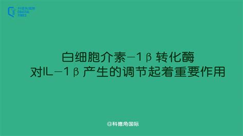 白细胞介素 1β转化酶对IL 1β产生的调节起着重要作用 知乎