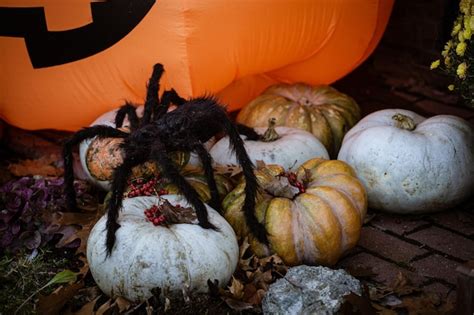 Um Close De Uma Aranha Rastejante Assustadora Tecendo Sua Intrincada