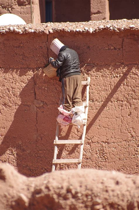 Comunidad De Foros De Apicultura Cazador De Enjambres Foro Para Fotos