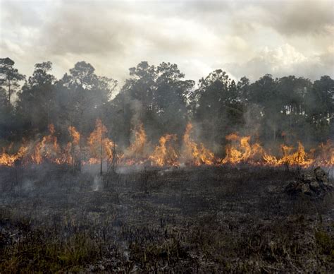 dylan johnston florida python hunters photography series