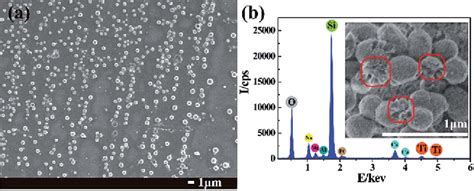Figure 2 From In Situ Growth Of Tio2 Sio2 Nanospheres On Glass