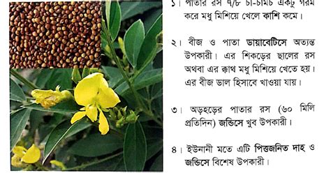 ভেষজ উদ্ভিদ অড়হড় এর উপকারিতা ও খাওয়ার নিয়ম