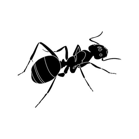 Premium Vector Ant Icon