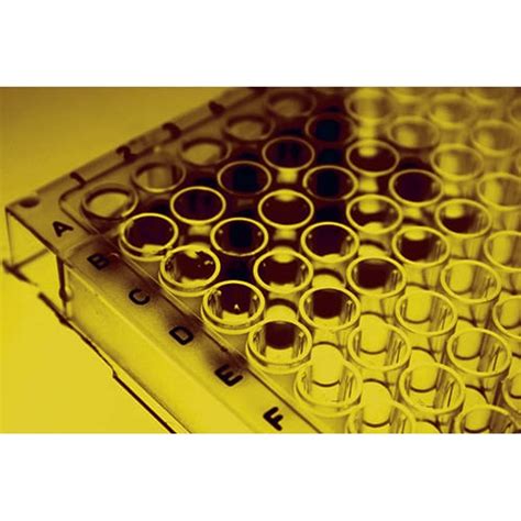 Immunotag™ Monkey Il 2 Interleukin 2 Elisa Kit 96 Well Plate