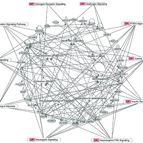 Predicted Gene Regulatory Network Of Dysregulated Genes With Line 1