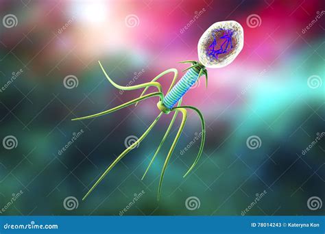 Bacteriophage A Virus Which Infects Bacteria Stock Illustration