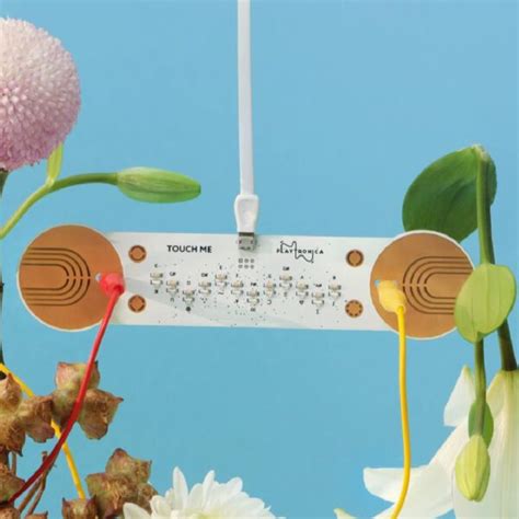 This MIDI Device Turns Anything You Touch Into Music Sefsed Com