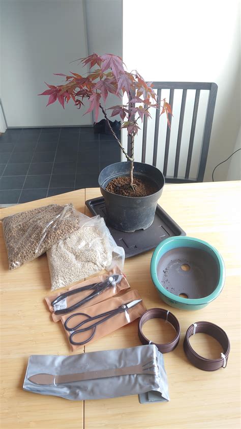 Just Got My Non Rolled Pyros Weapon Need Help R Ffxiv