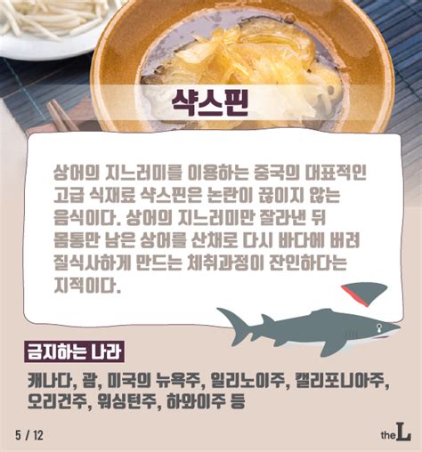 케첩이 금지 음식왜 나라별 못먹는 음식 Zum 허브