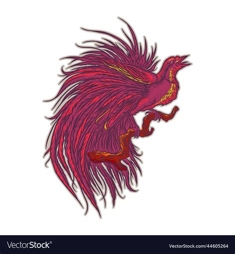Birds Of Paradise Art Royalty Free Vector Image
