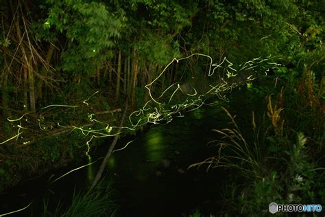 幽玄の美 1 by MIKASA ID9645510 写真共有サイト PHOTOHITO