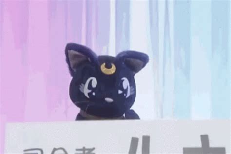 Cat Luna GIF Cat Luna Sailor Moon Descobrir E Compartilhar GIFs