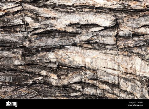 Cracked Old Wood Texture Stock Photo Alamy