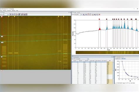 Gelanalyzer 23 1 And Super High Throughput Minion Dna Barcoding Bento Lab