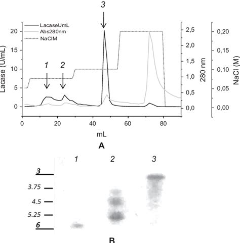 Figure 1 From Reactive Dyes And Textile Effluent Decolorization By A