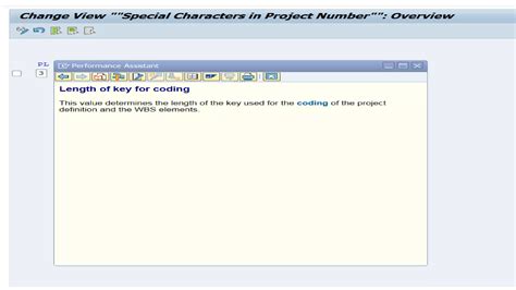 Project Coding Mask Sap Ps Pdf