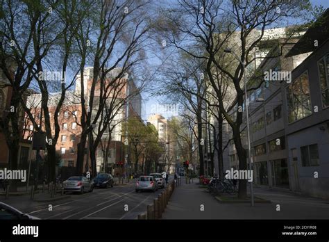 Typical Tree Lined Street Of The Productive Center Of The City On Early Springtime Stock Photo