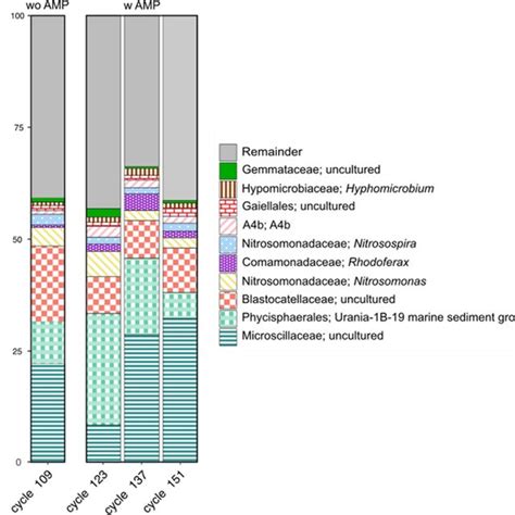 Relative Abundance Of Nitrifying And Heterotrophic Bacteria Before