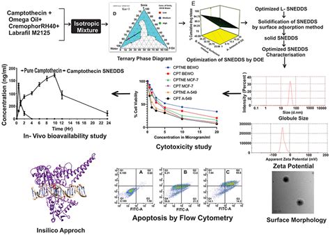 Oral Self Emulsifying Nanoemulsion Systems For Enhancing Dissolution