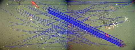 Sift Matched Features Illustrating Mismatches Download Scientific Diagram