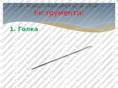 Презентація ПРОЄКТ ГОЛЬНИЦЯ ГОЛЬНИЧКА 5клас НУШ Презентація