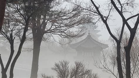 경복궁 향원정의 일상 풍경  인스티즈 Instiz 이슈 카테고리