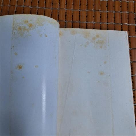 不二書店 感恩與薪傳 復興崗校友會 民87年（奇摩48） Yahoo奇摩拍賣