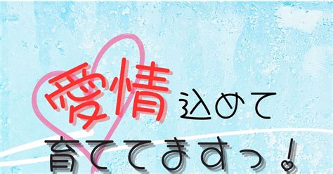 腐ルーロック 【通販のお知らせ】愛情込めて育ててますっ！ とみとろのイラスト Pixiv