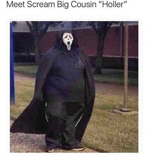 When Male Logic Defies Explanation 47 Pics