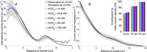 A The Impact Of Bicarbonate Buffering Capacity On Activity Patterns Download Scientific