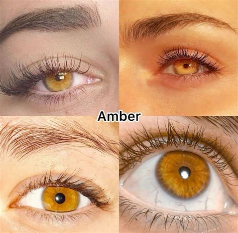 Amber Eyes Light Brown Vs Amber Eyes Ambar Eyes Auburn Eyes