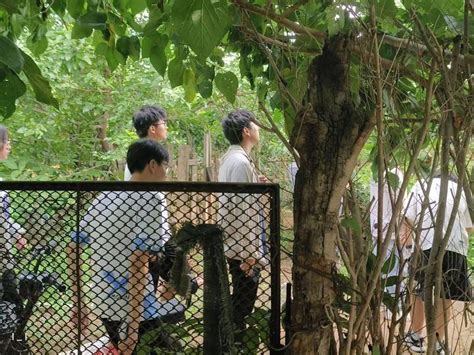 【最新动态 物电学院】走进樱桃园，开启实践之路 知乎