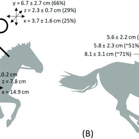 Mean Magnitude M Of Displacements Cm And Relative Displacement Download Scientific