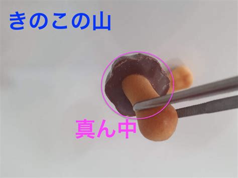 【韓国のお菓子】日本のパクリ商品「チョコソンイ」レビュー（きのこの山との違いを調査）