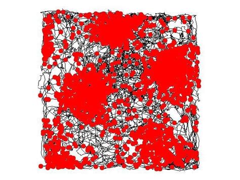 Grid Cell Rwikipedia