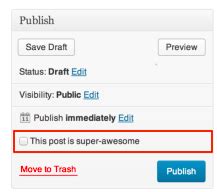How To Add A Checkbox Inside The Publish Post Widget