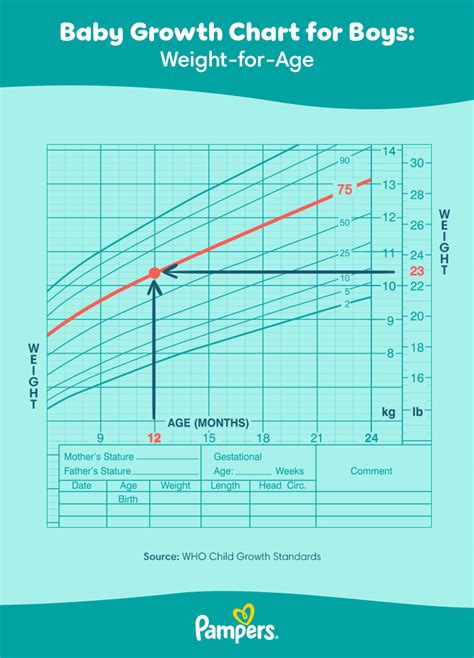 Weight Chart Of Infants