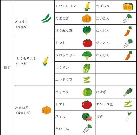 連作障害について 4＜連作（前作・後作）の相性＞ 【公式】会員制レンタル農園「ここファーム」 野菜 一覧 障害 野菜