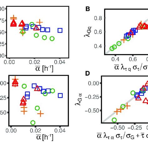 Alternative Parameterizations Of Cell Size Control Linear Response
