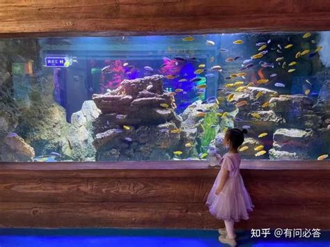观澜海洋世界游记：若非被生活所迫，谁愿意一身才华？ 知乎