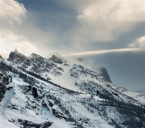 Winter Landscapes Canadian Snow Covered Peaks Near Lake Louise Banff