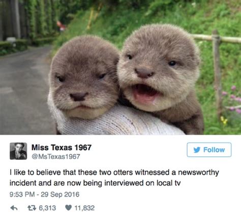 24 Hilarious Picture Tweets That Will Make You Just Laugh No Matter What