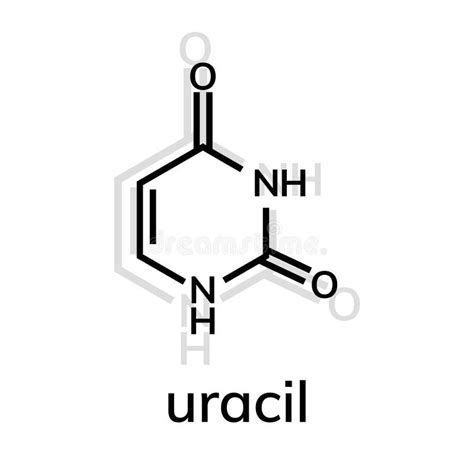 Uracil Molecular Structure Isolated On White Stock Illustration